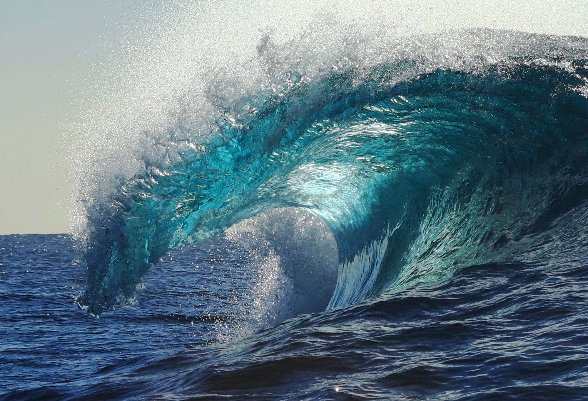 Pitcher – Coastal Visions Photography